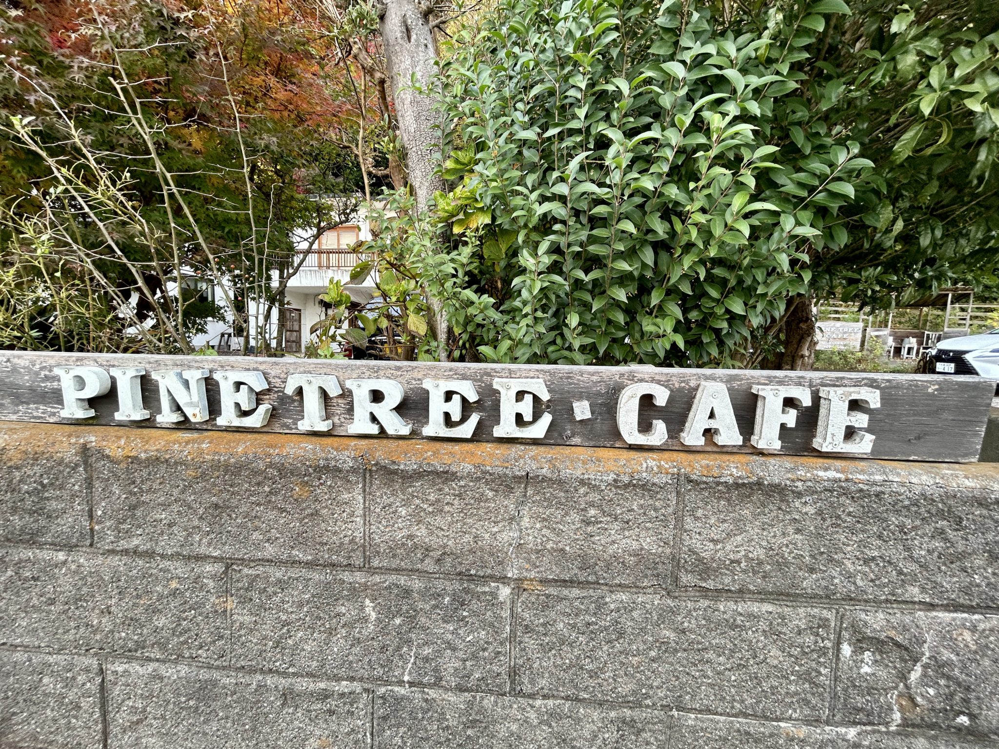 【千葉】パインツリーカフェ （PINE TREE CAFE）【千葉市若葉区北谷津町】 | 食べ歩き日記in千葉
